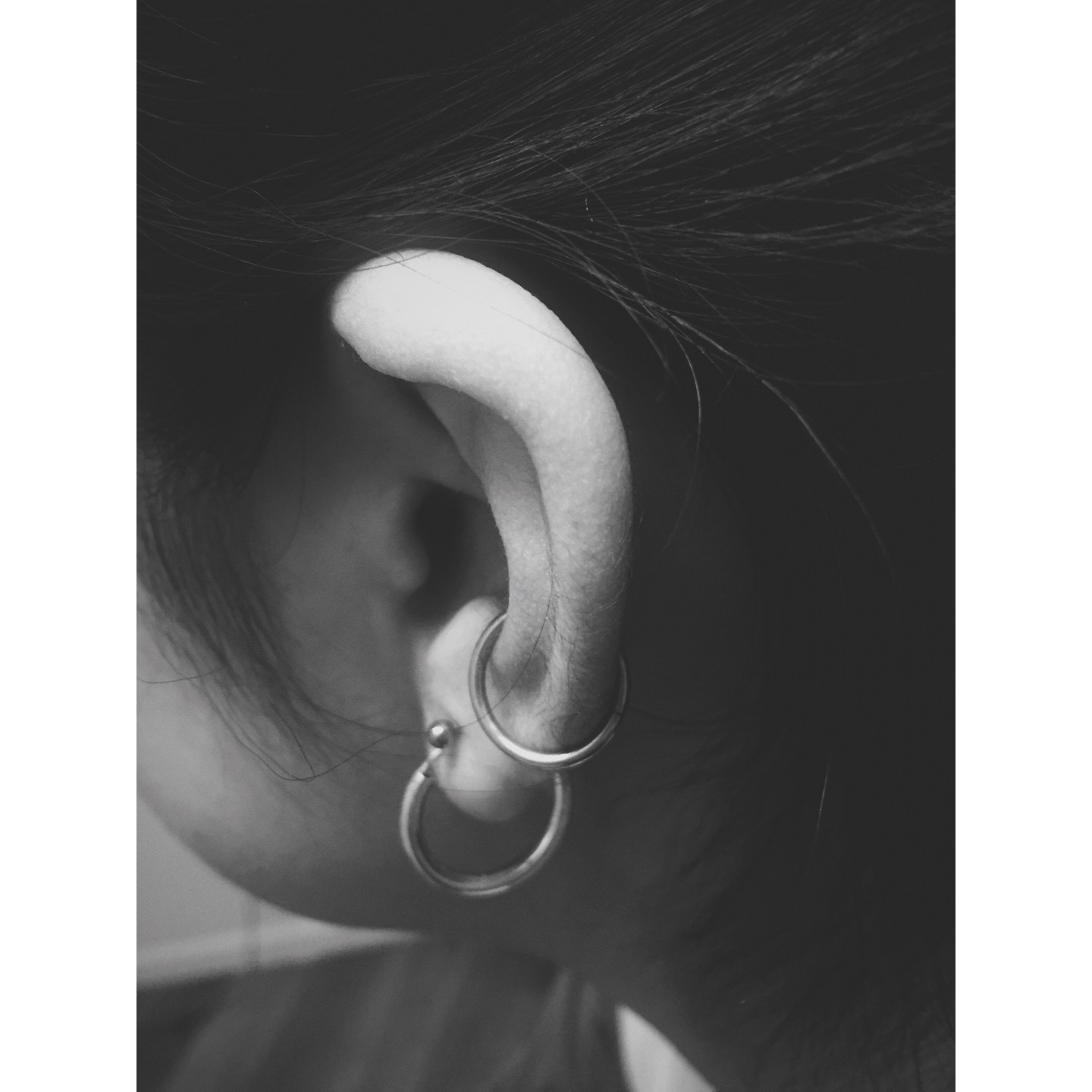 Conch Piercings – [ EL CAPITAN x BODY PIERCER ]